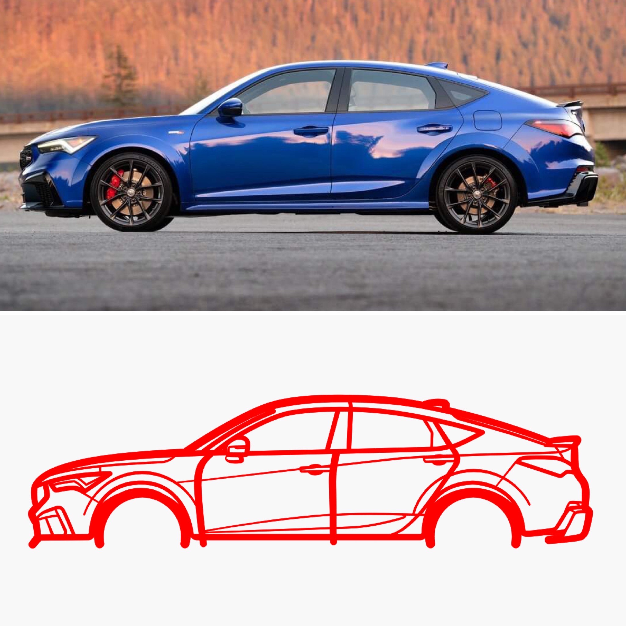 Integra Type S Generation 5 Silhouette Line Wall Art – Redline Fresh